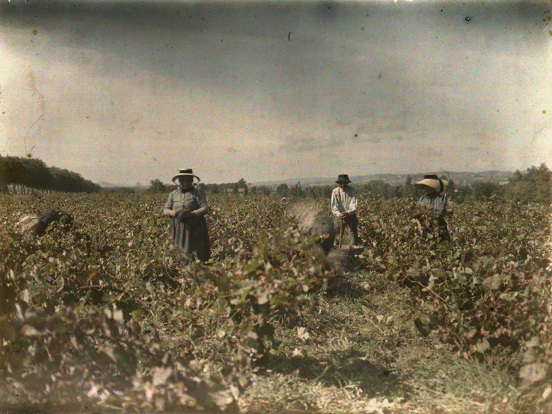Collection Vène - Espace photographique Arthur Batut